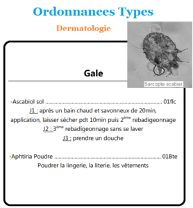 La Gale Ordonnances Types – Santé Médecine
